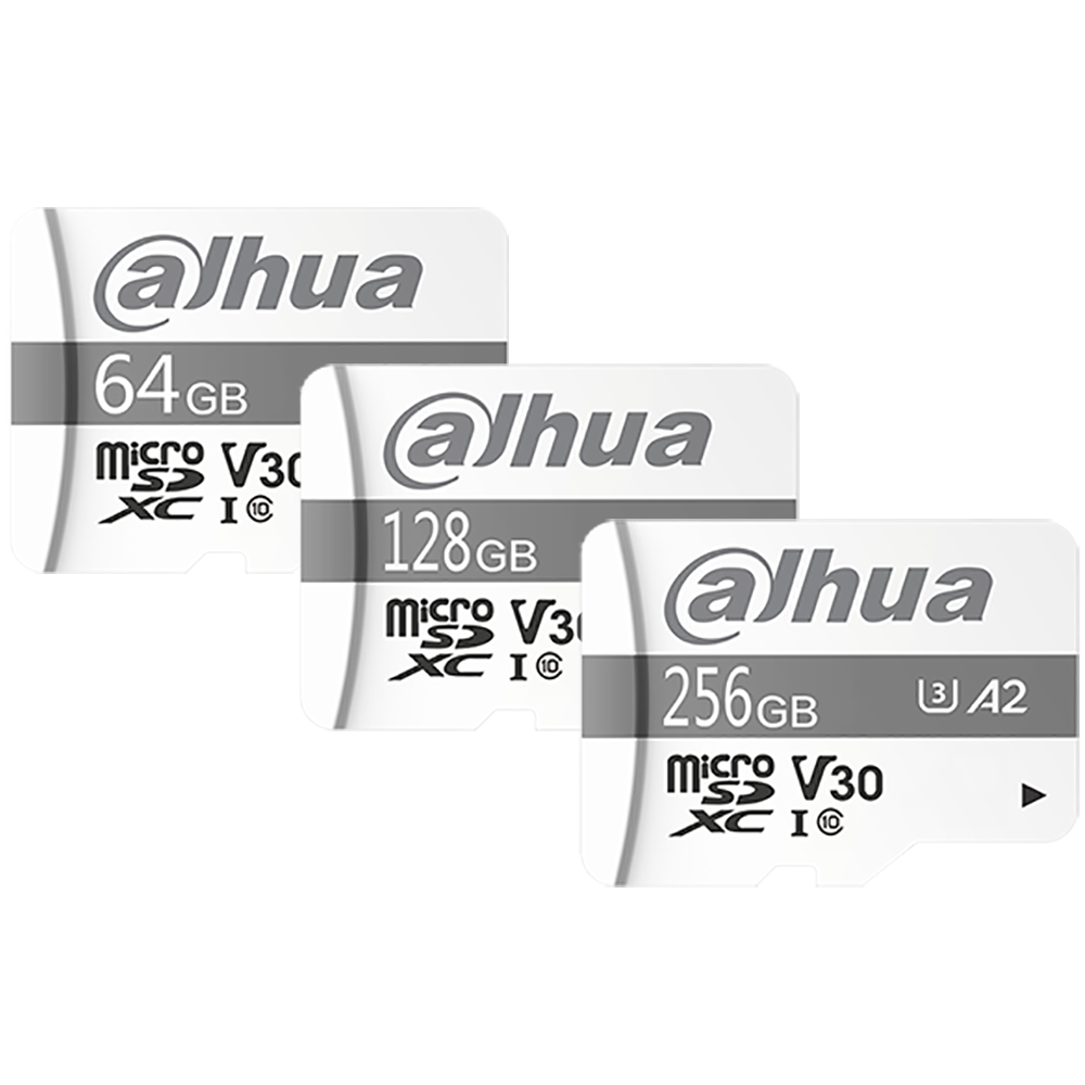 Dahua DHI-TF-P100/256GB 256GB SD card