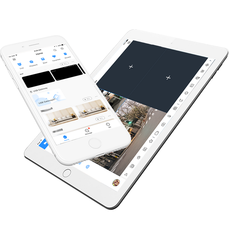 Dahua DSS Video Management Software and Licenses